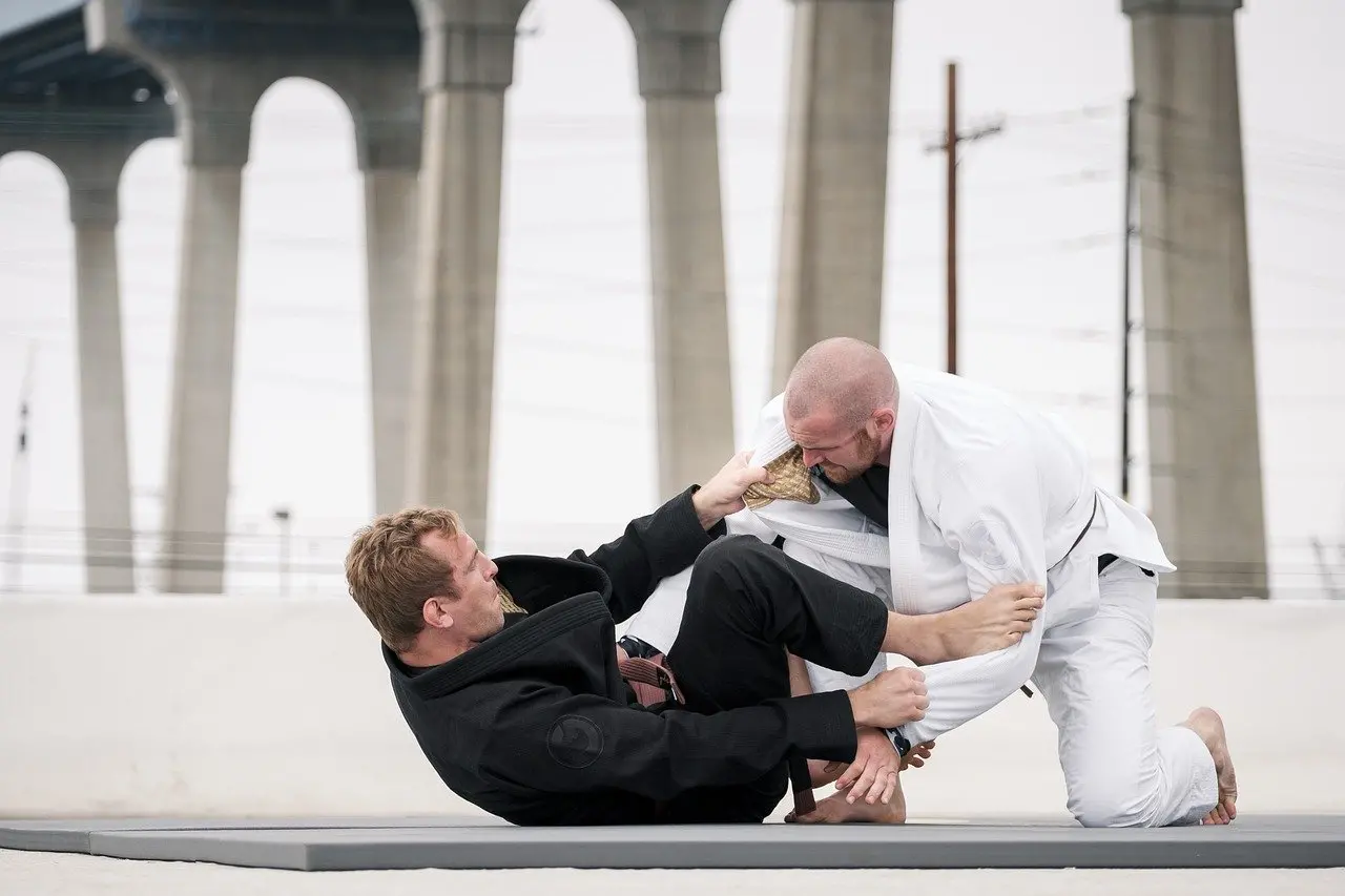 The Journey to the Purple Belt in Brazilian Jiu-Jitsu: A Comprehensive ...